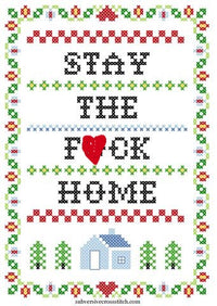 Stay The F*ck Home - Subversive Cross Stitch - Cross Stitch Kit – The ...