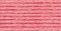 760 (Salmon) - DMC Embroidery Floss – The Starlight Stitchery