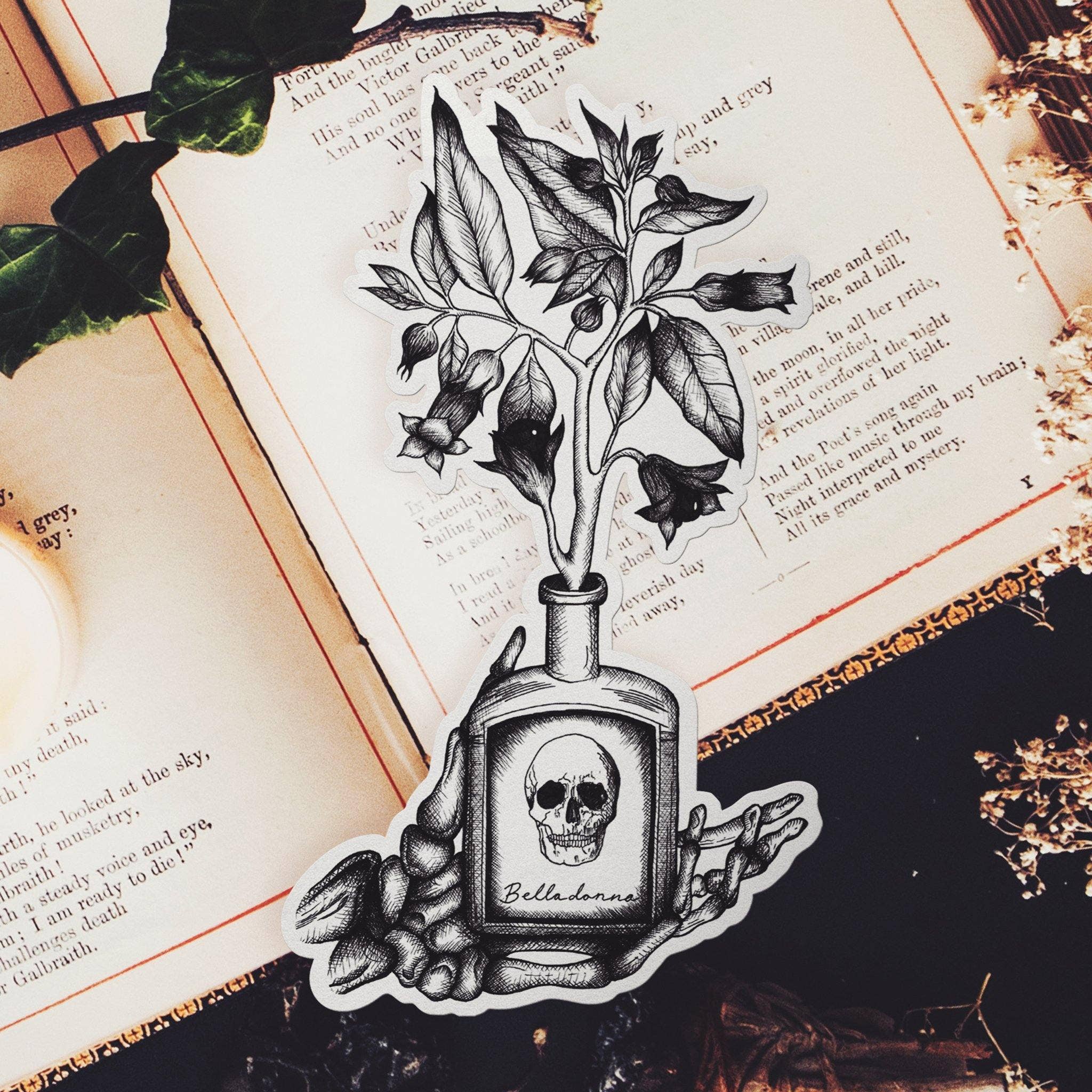 Belladonna Skeleton Sticker – The Starlight Stitchery